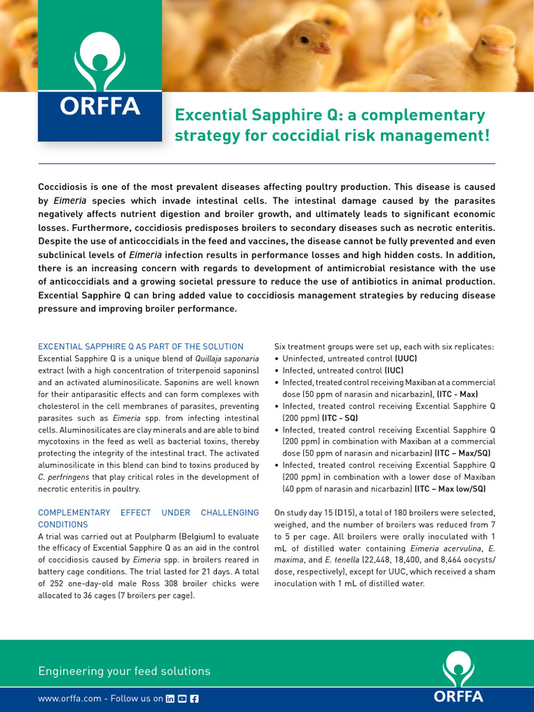 Infosheet Sapphire Q As Complimentary Strategy EN - LR | PDF ...