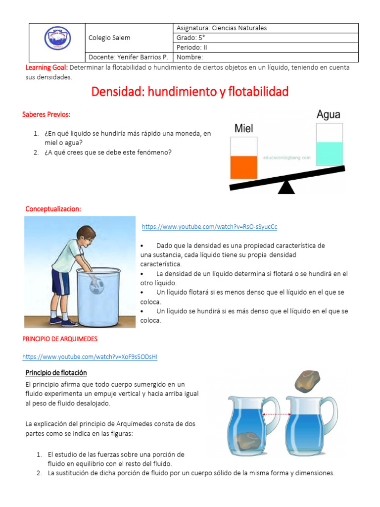 Flotabilidad y Densidad en Líquidos | PDF | Densidad | Mecánica de fluidos