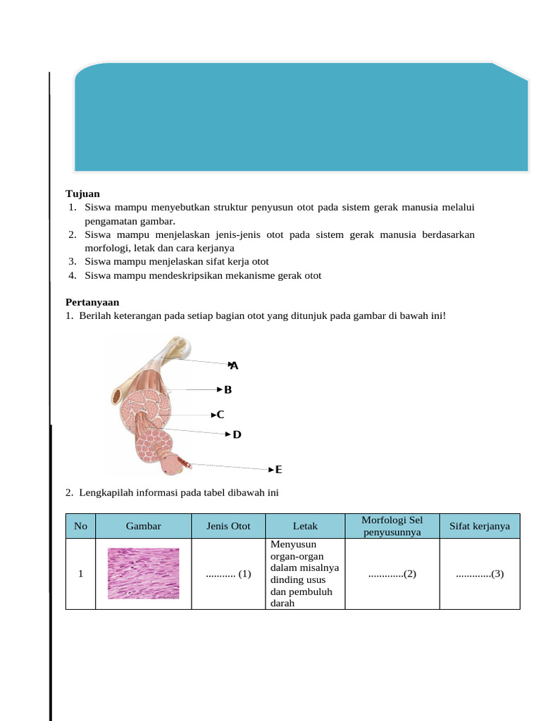 LKS 2 Sistem Gerak | PDF