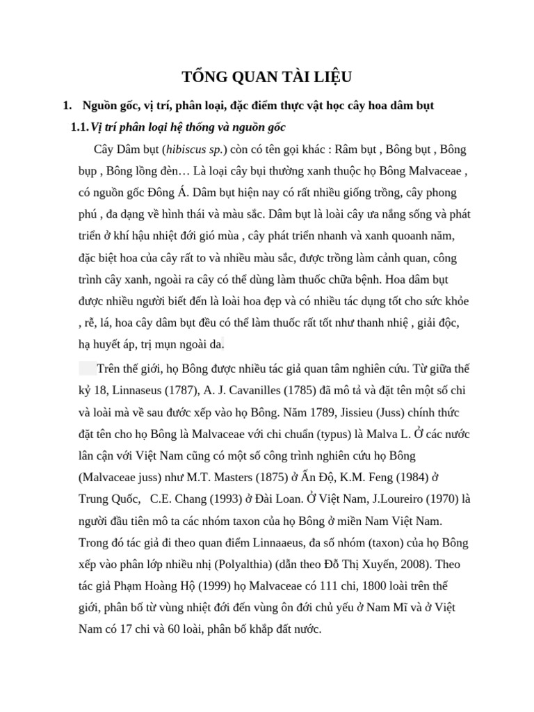 Tổng quan tài liệu Dâm bụt | PDF