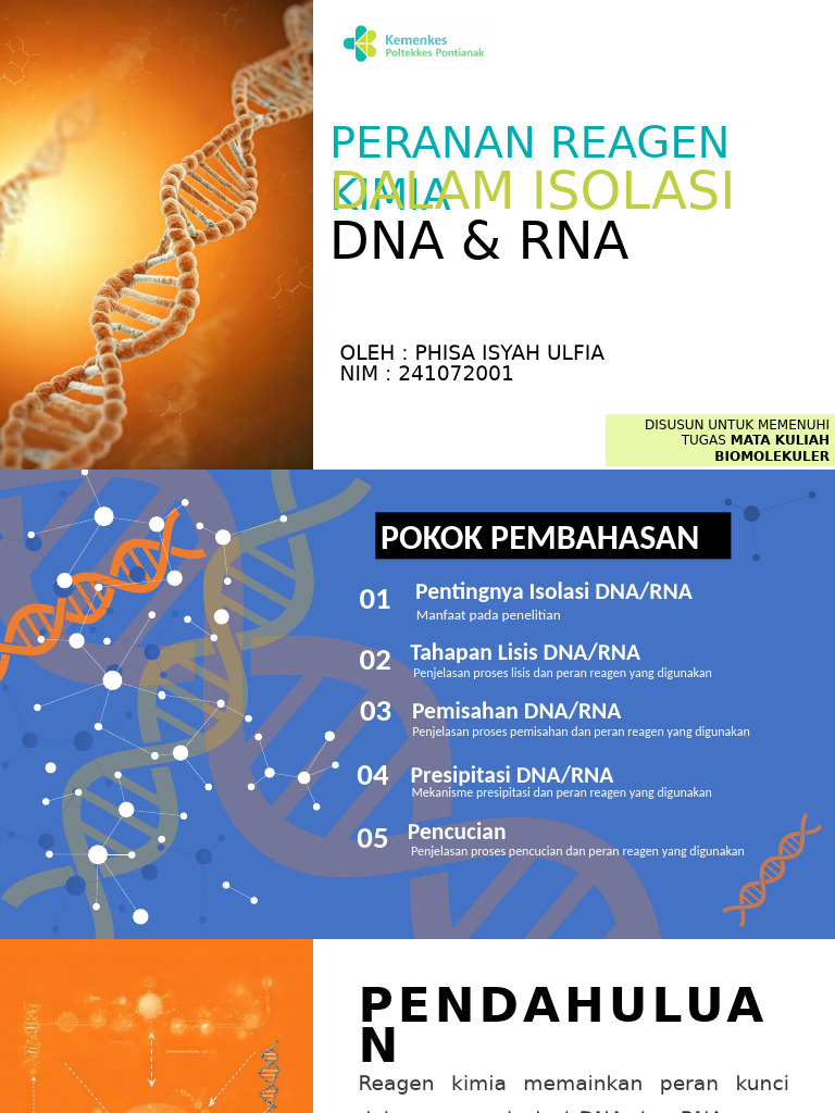 Phisa - PPT Peran Reagen Pada Isolasi Dna Dan Rna | PDF
