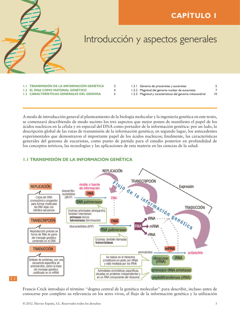 Generalidades Genoma Procariota Cap1 Herraez | PDF | Genoma | Adn