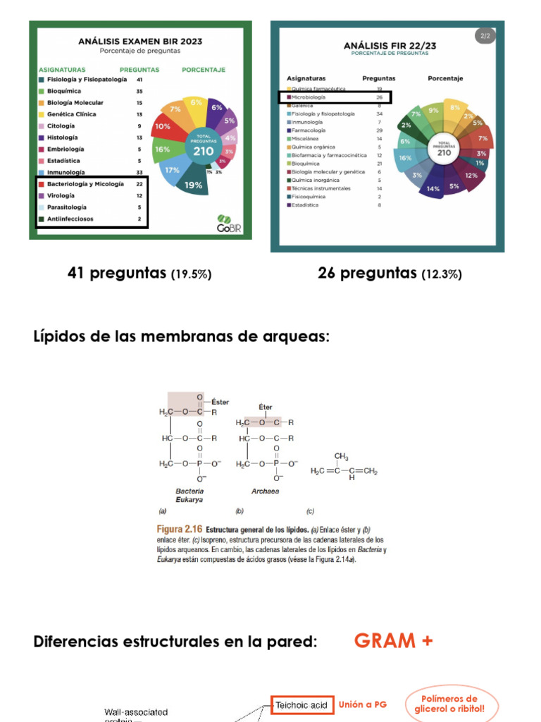 Bacterio Log I A | PDF | Staphylococcus Aureus | Estreptococo