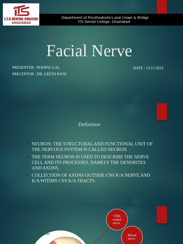 Facial Nerve Overview and Rehabilitation | PDF | Human Anatomy ...