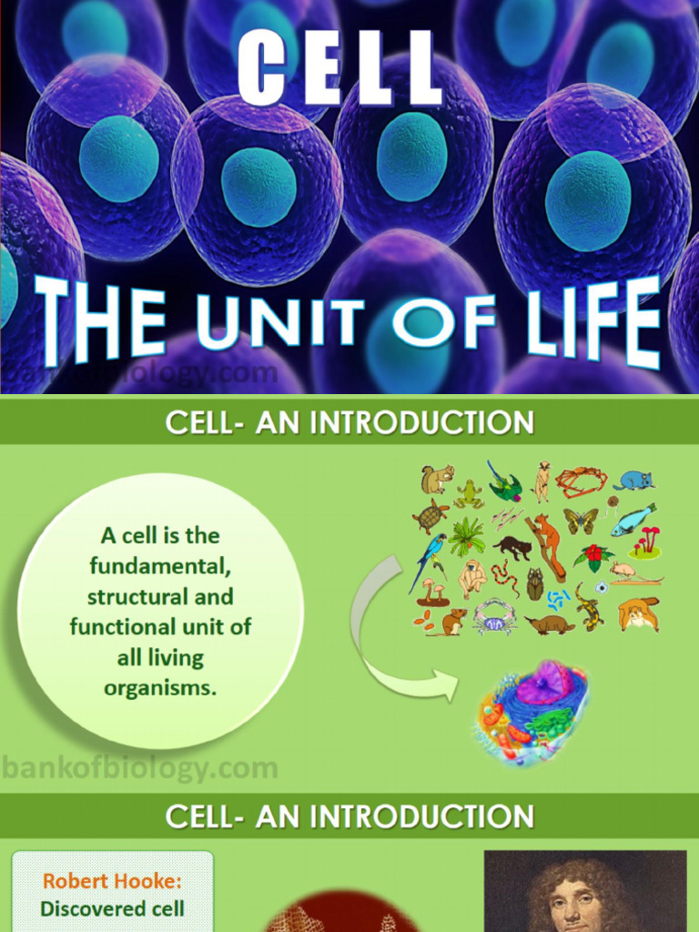 8 Cell-The Unit of Life | PDF