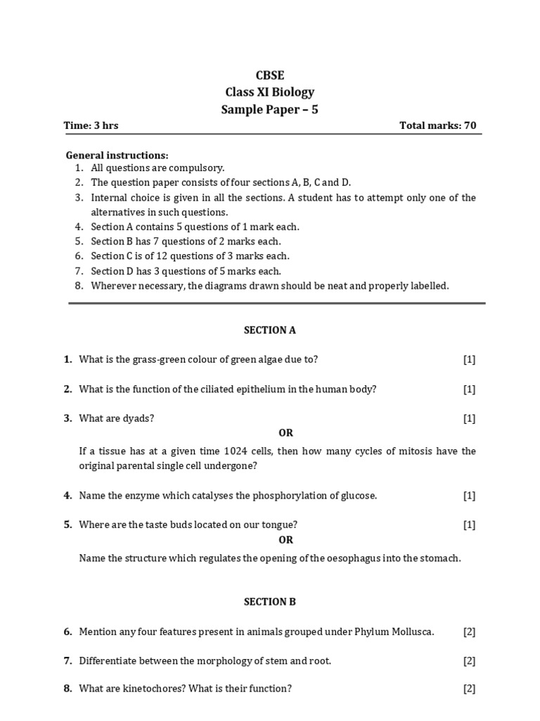 Sample Paper 7 | PDF | Eye | Retina