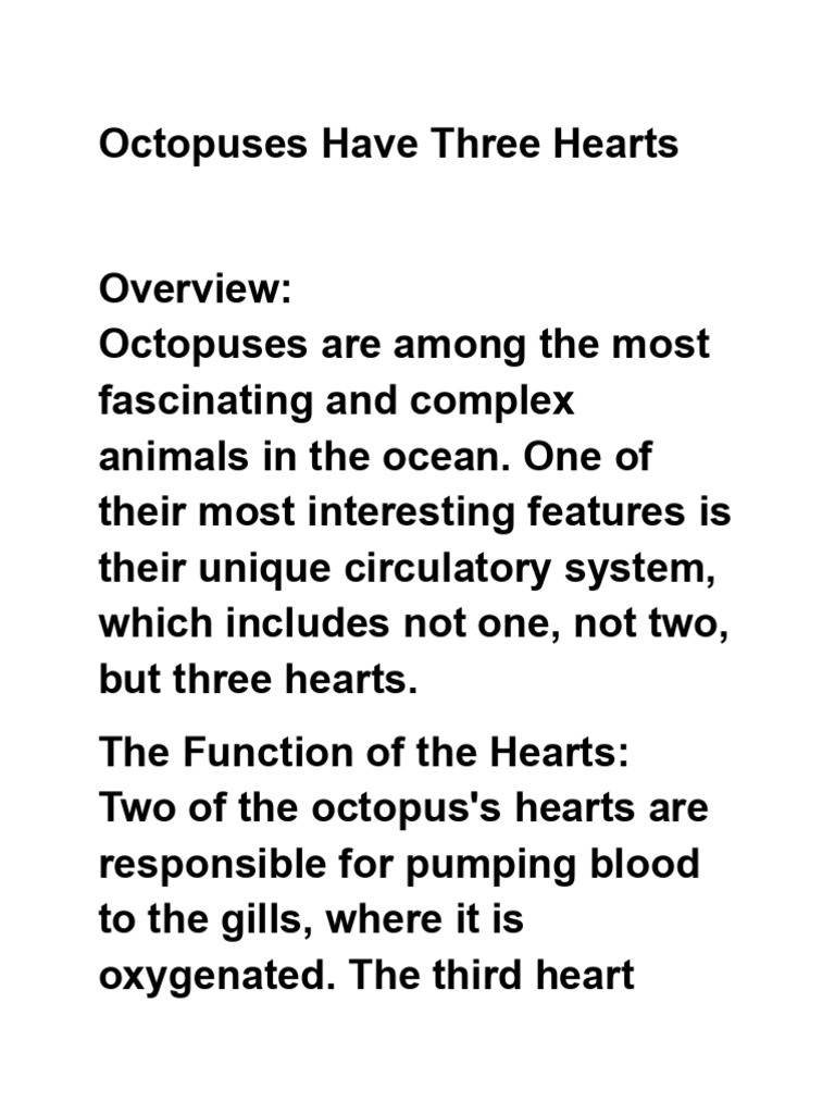Octopus Circulatory System Explained | PDF