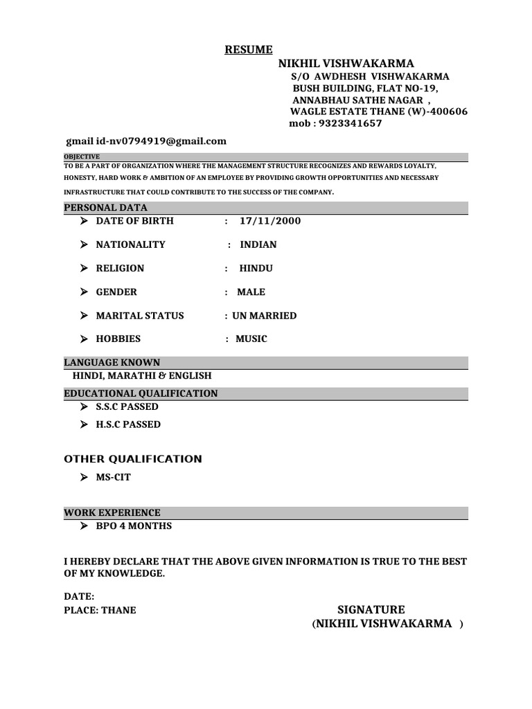Nikhil Vishwakarma Resume Summary | PDF