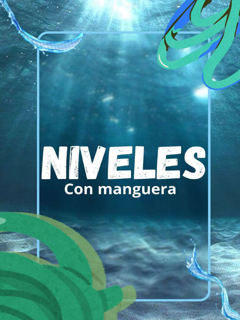 Niveles | PDF