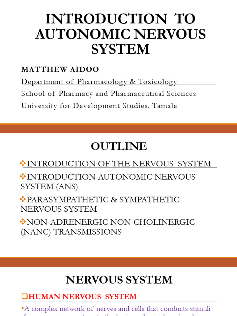 Lecture 4 - INTRO AUTONOMIC CURRENT | PDF | Nervous System | Motor Neuron