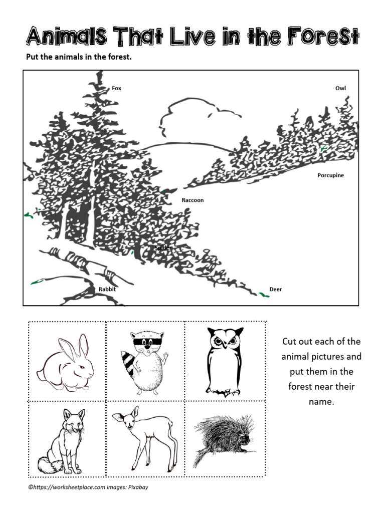 Forest Animals Worksheet | PDF