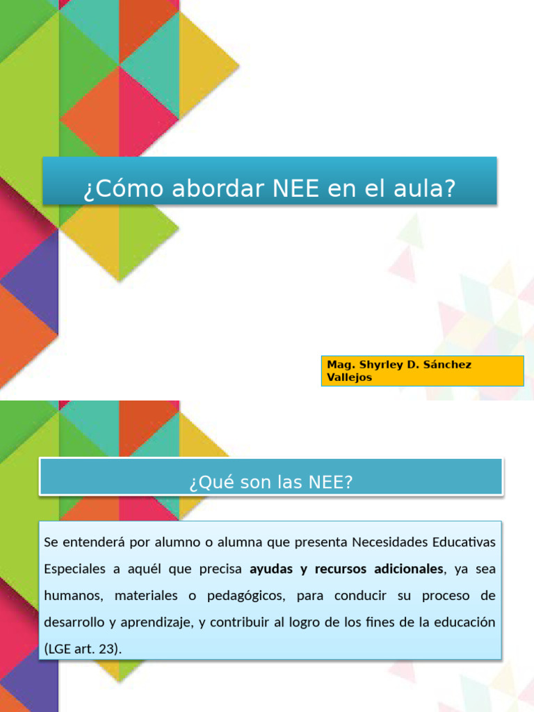 Estrategias Abordar Nee en El Aula | PDF | Aprendizaje | Evaluación