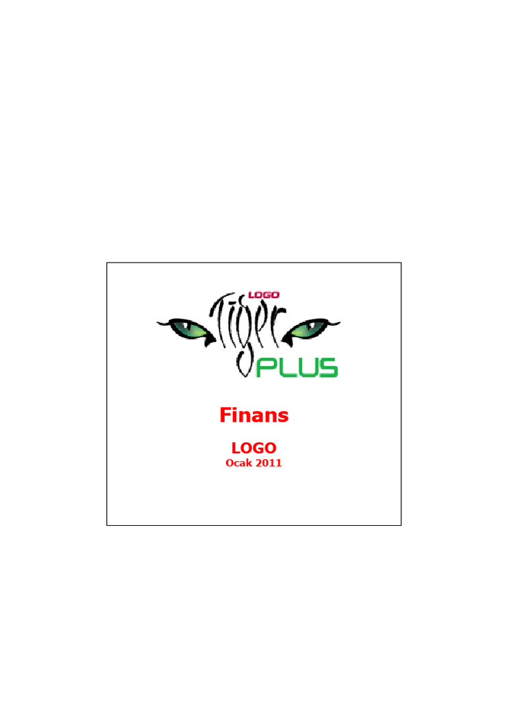 Tiger Plus Finans | PDF