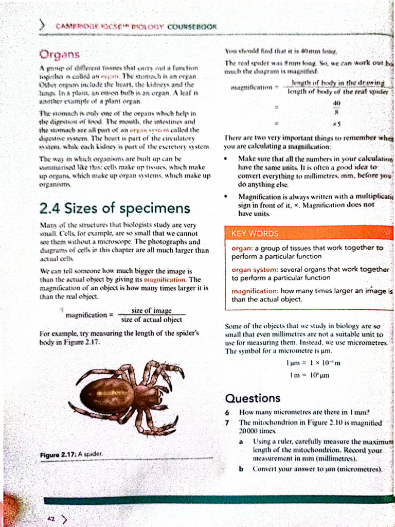 Unit 2 (Biology) | PDF