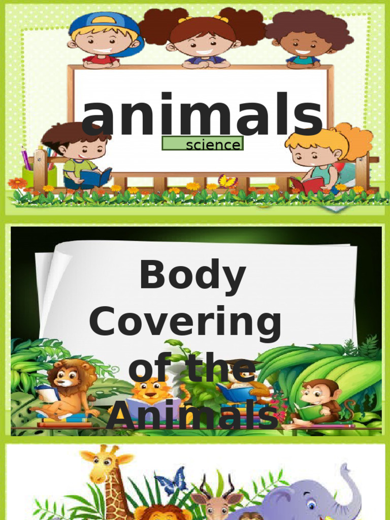 Animal Body Coverings Explained | PDF