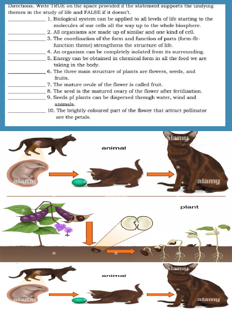 Q2 Week 3 Life Science | PDF | Sexual Reproduction | Reproduction
