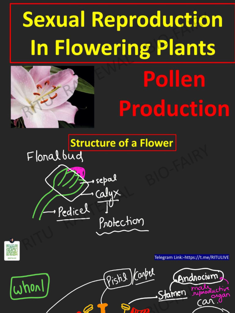 Lecture Notes Sexual Reproduction in Flowering Plants Compressed | PDF