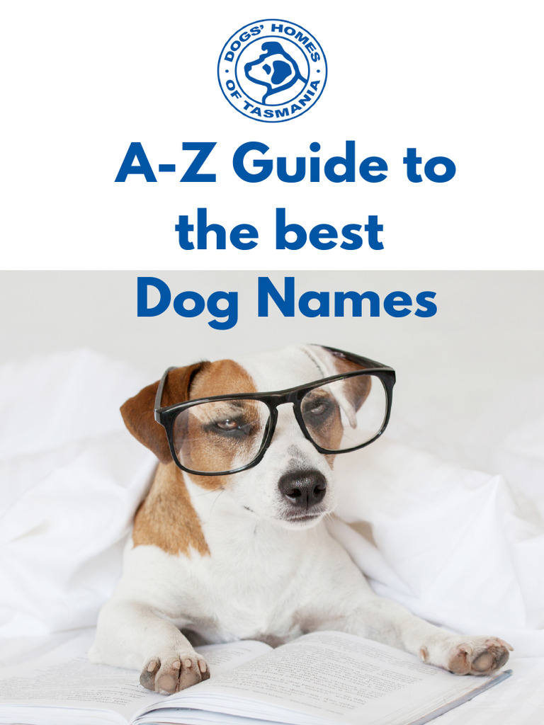 A Z of Dog Names A4 Document 1 | PDF