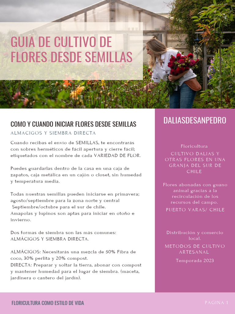 Guia de Cultivo de Flores | PDF | Siembra | Semilla