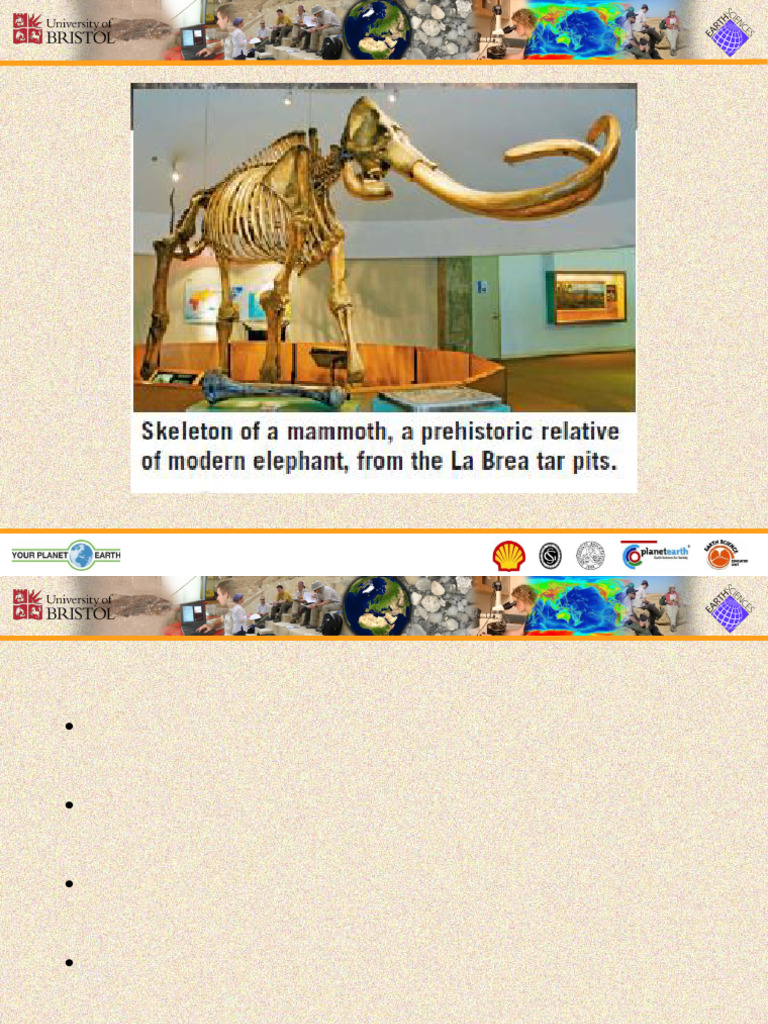 Index Fossil and Geologic Time Scale | PDF | Fossil | Rock (Geology)