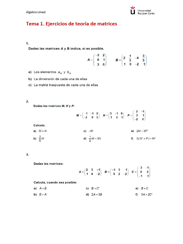 Tema1 Ejercicios Matrices | PDF