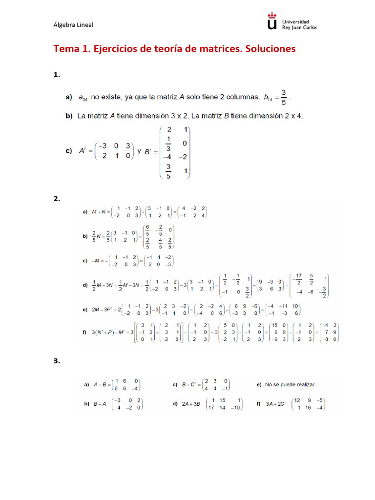 Tema1 Ejercicios Matrices Soluciones | PDF