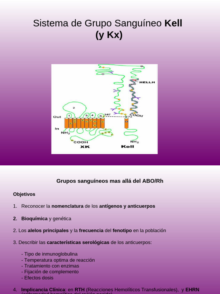 Sistema de Grupo Sanguíneo Kell y Kx | PDF | Anticuerpo | Tipo de sangre