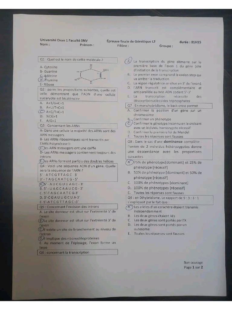 Examen2+Solution Génétique SNV L2 | PDF