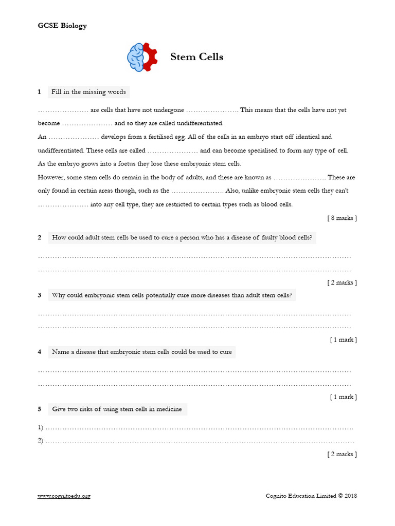 Bio - Stem Cells 5 | PDF | Stem Cell | Embryo