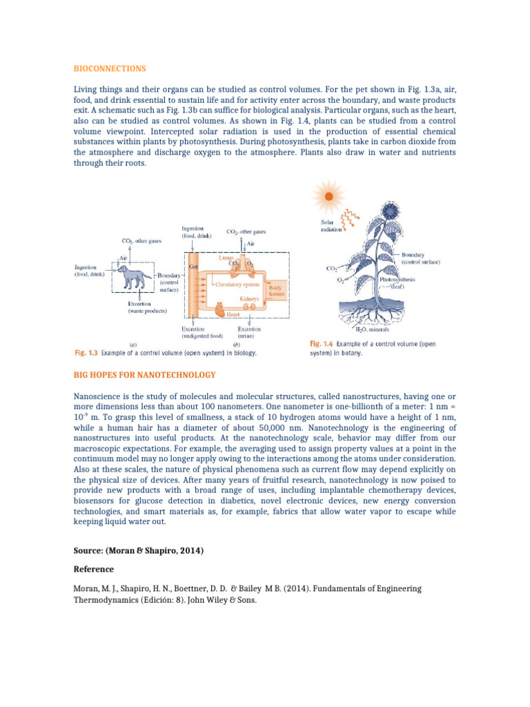 Reading | PDF