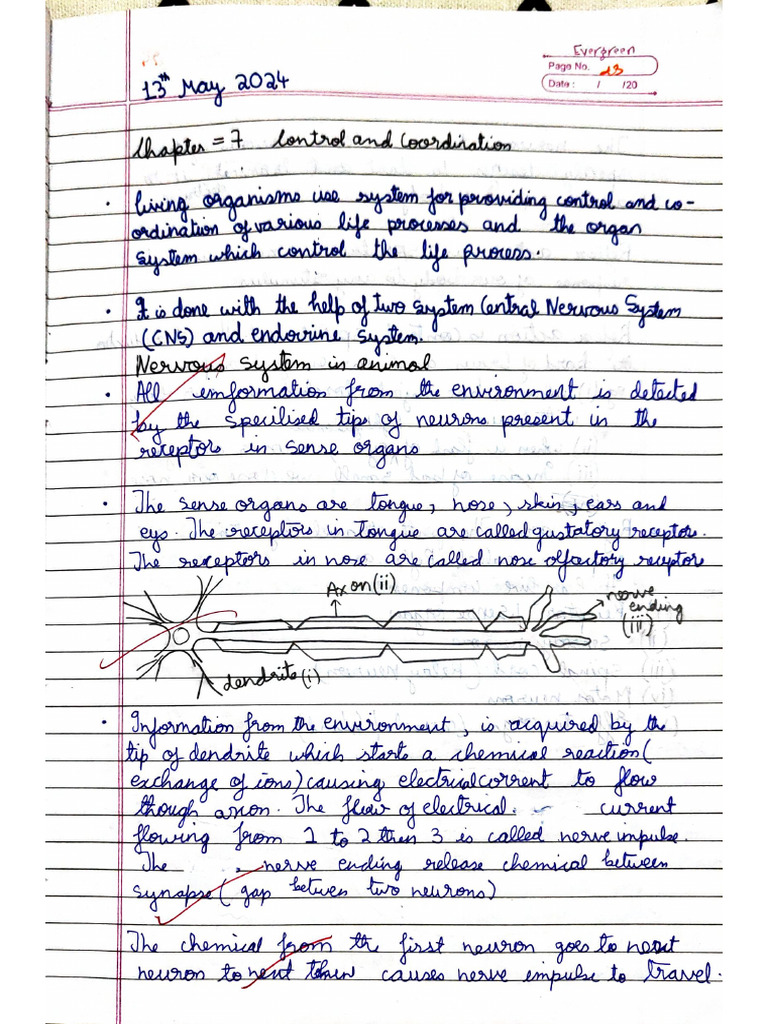 Bio, Class 10 A. Notes, ch7 Control and Coordination | PDF