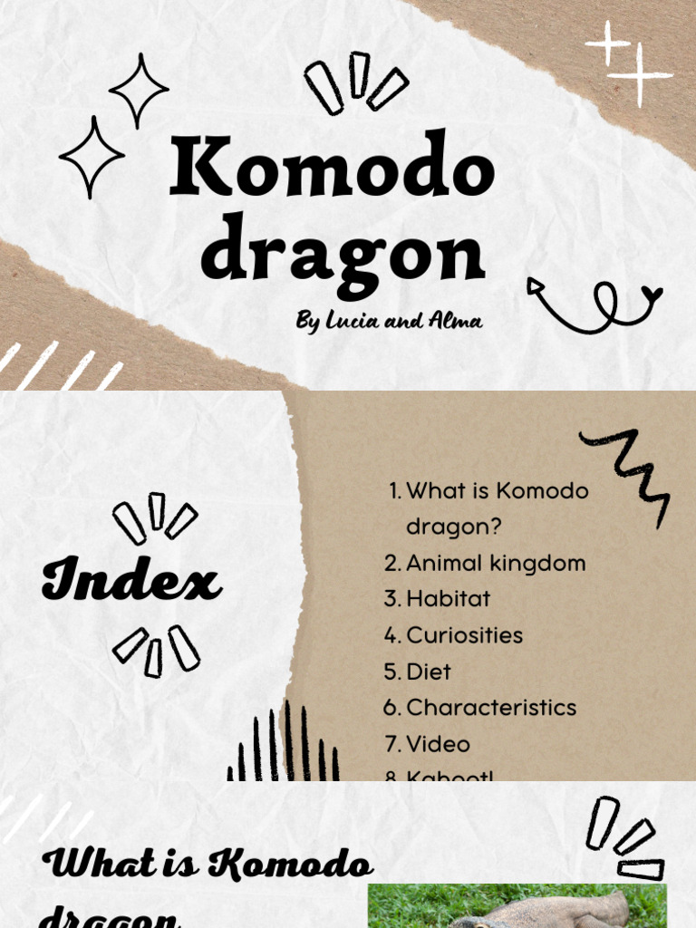 Komodo Dragon | PDF