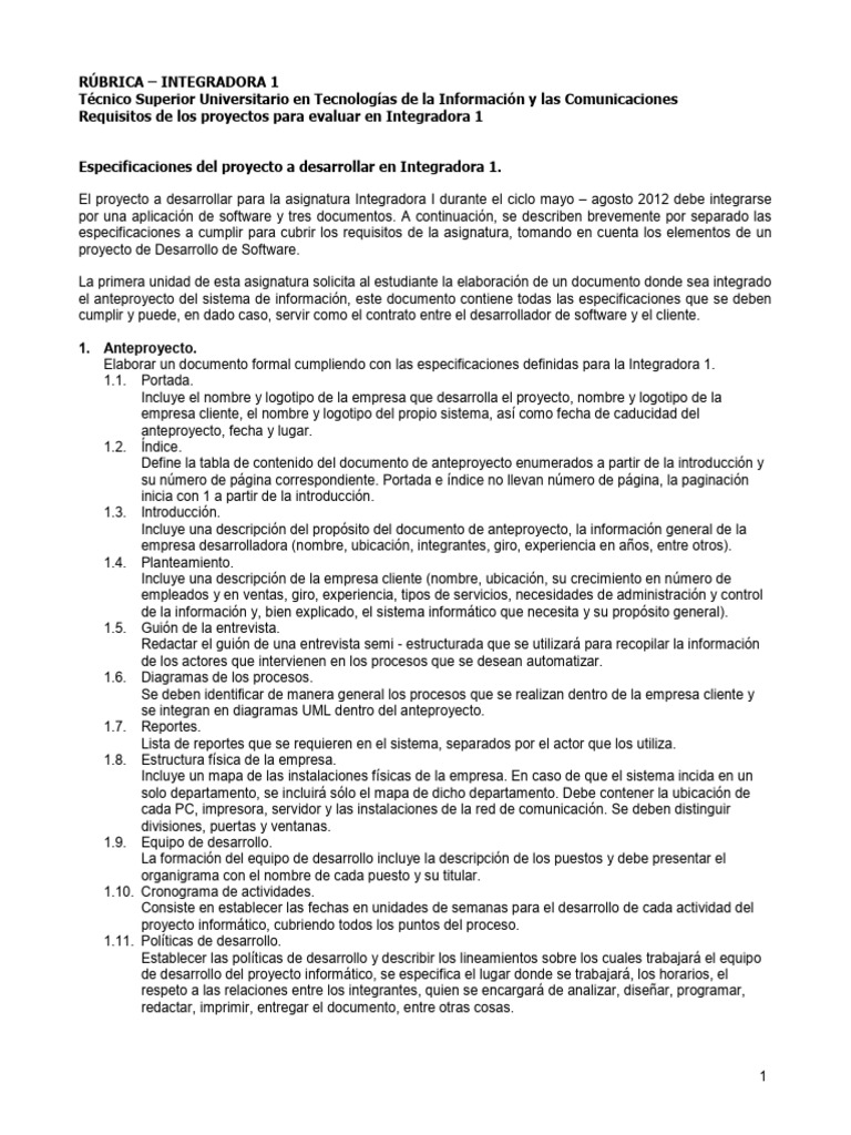 Integradora1 Rubrica 2021b | PDF | Software | Business