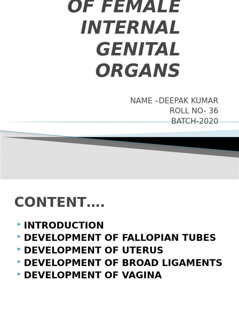 Embryology of Female Genital Parts | PDF | Vagina | Uterus