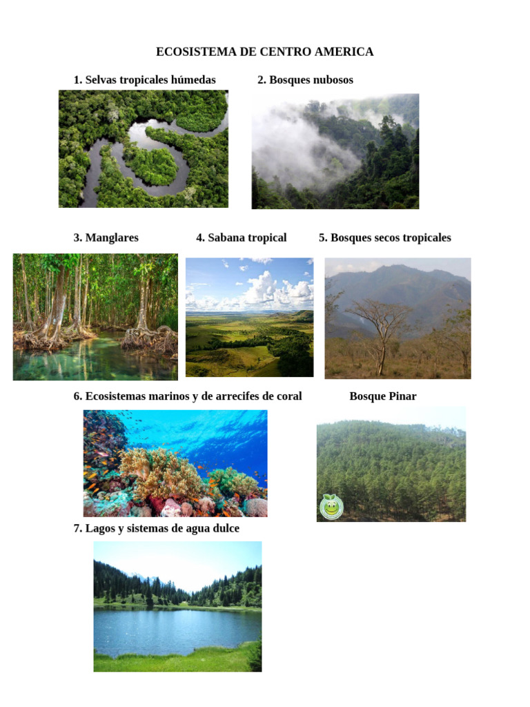 Ecosistemas de Centroamérica: Tipos y Características | PDF