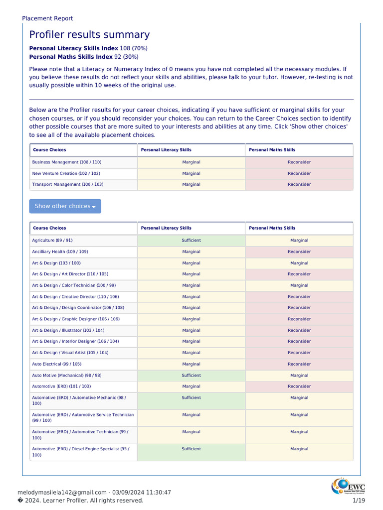 Placement Report | PDF | Carpentry | Human Resource Management