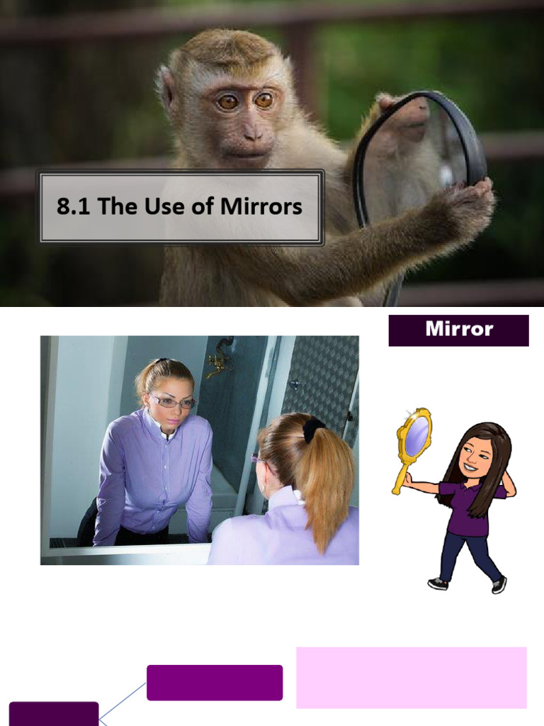 Chapter 8 Light and Optics | PDF | Color | Mirror