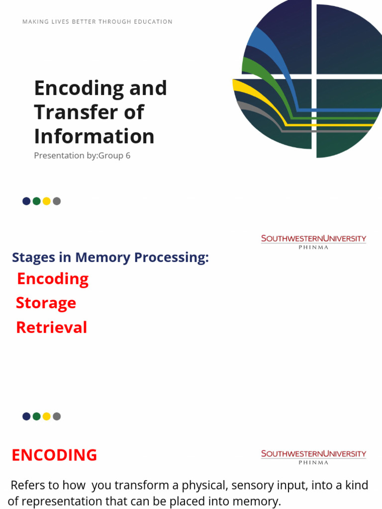 Encoding and Transfer of Information | PDF | Memory | Long Term Memory