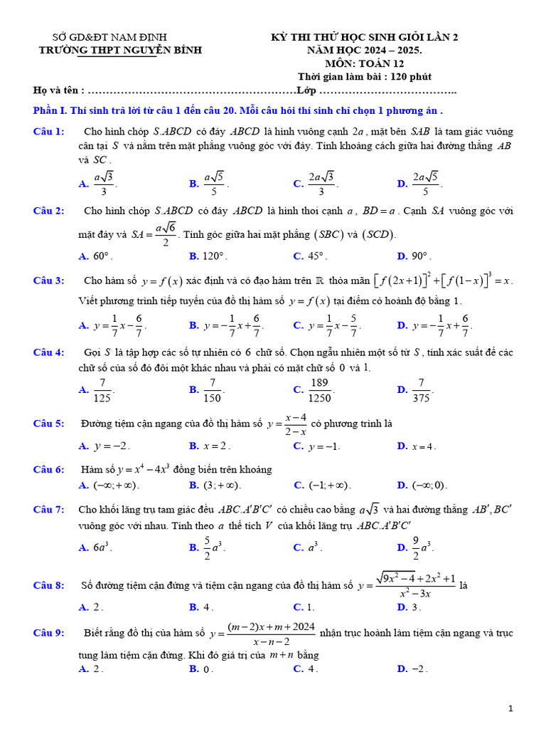 De Thi Thu HSG Toan 12 Lan 2 Nam 2024 2025 Truong THPT Nguyen Binh Nam Dinh | PDF