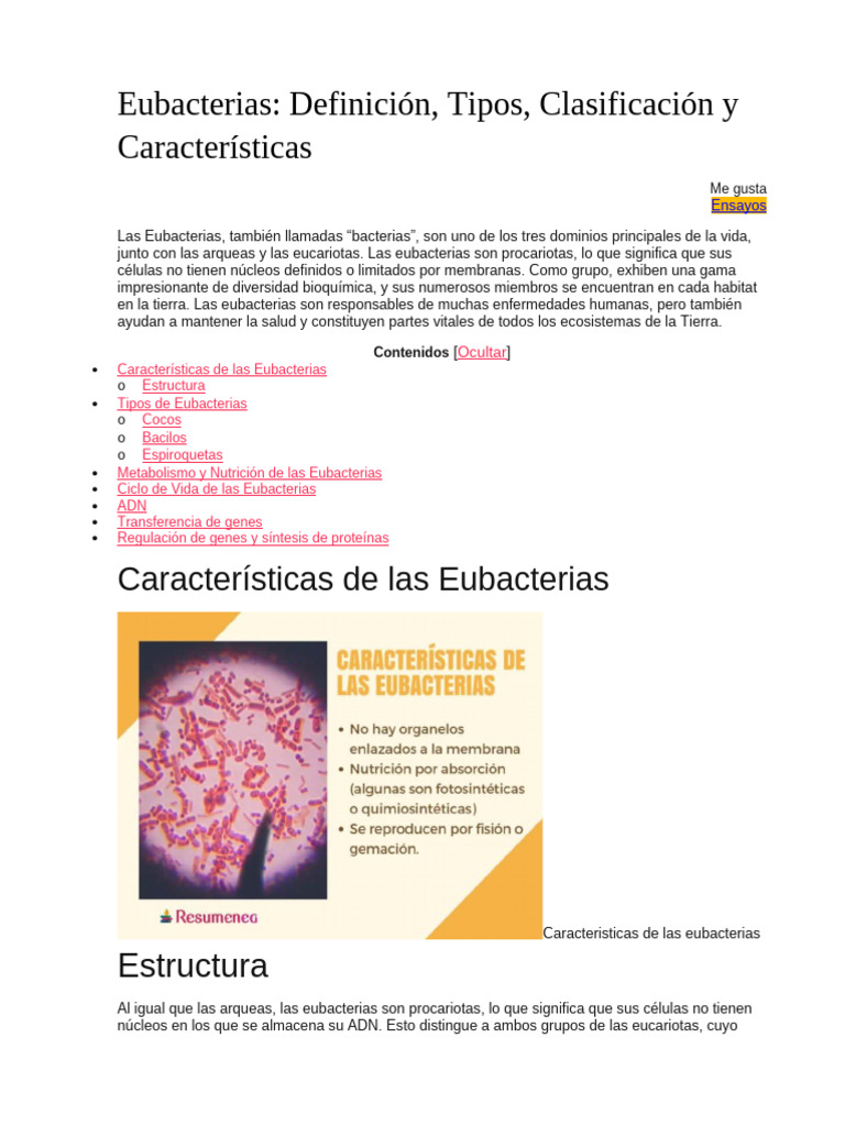 Eubacterias: Tipos y Características Clave | PDF | Las bacterias | Adn