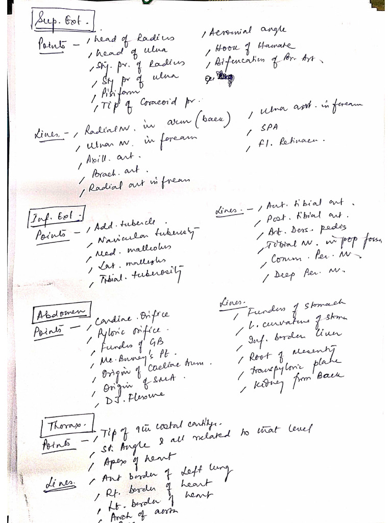 Surface Marking | PDF