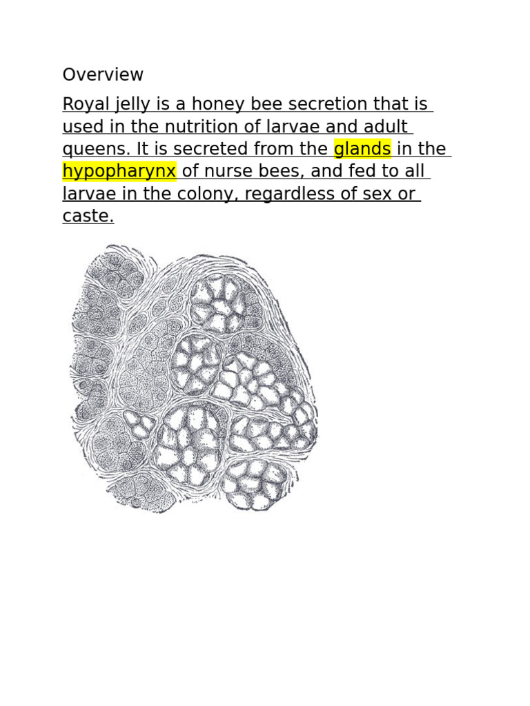 Royal Jelly | PDF | Allergy | Vitamin