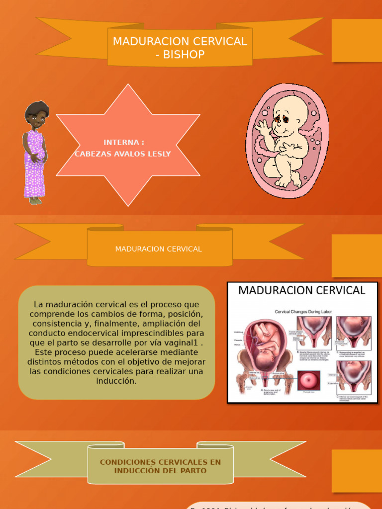 Exposicion Maduracion Cervical | PDF | Parto | La salud de la mujer