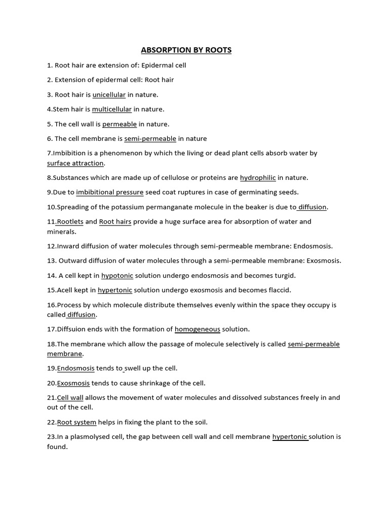 Absorption by Roots - NOTES | PDF | Osmosis | Plants