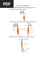 Lower Extremity Range of Motion Guide | PDF | Anatomical Terms Of ...