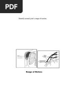 Forearm Supination Rom MMT | PDF