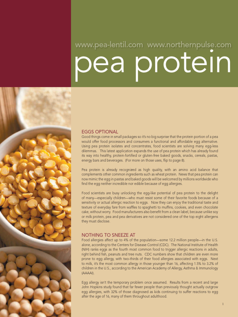 Pea Protein Brochure | PDF | Fat | Pasta