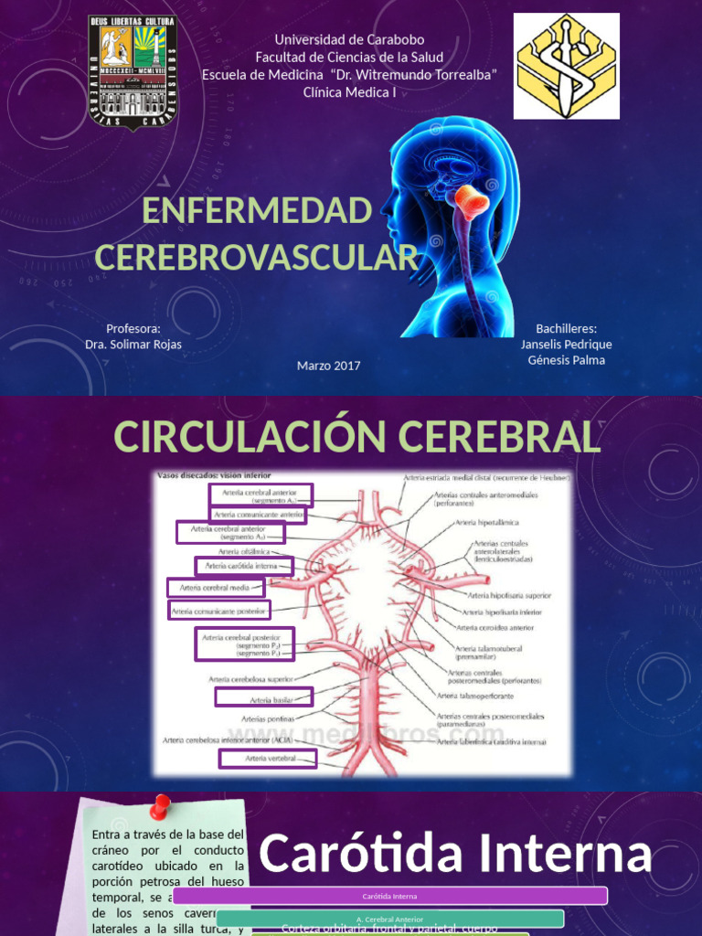 Enfermedad Cerebrovascular | PDF | Isquemia | Carrera