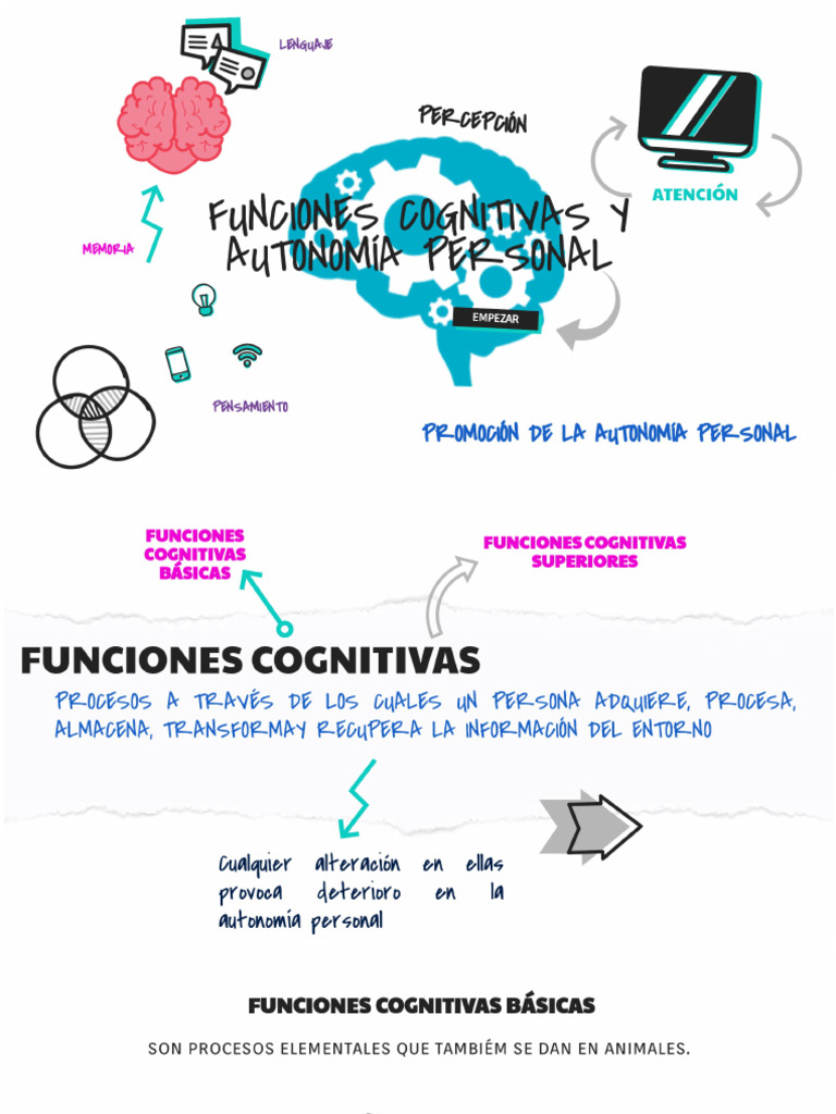 Presentacion Las Funciones Cognitivas | PDF