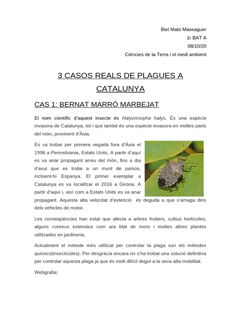 3 Casos Reals de Plagues A Catalunya Ctma | PDF